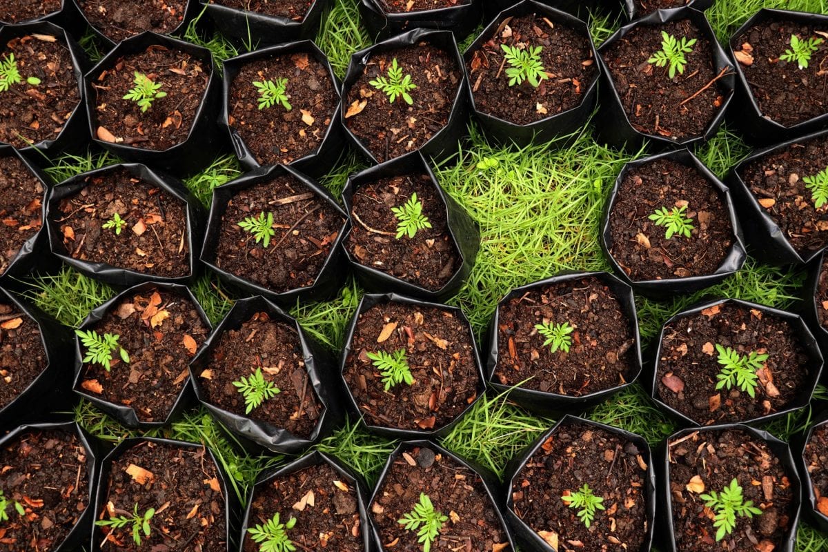 Bulk Soil & Compost Supplier in Menifee & Winchester, CA | SoCal Mulch ...