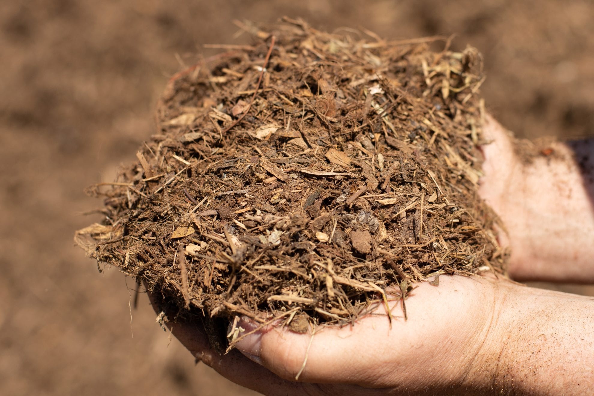 Forest Blend | SoCal Mulch