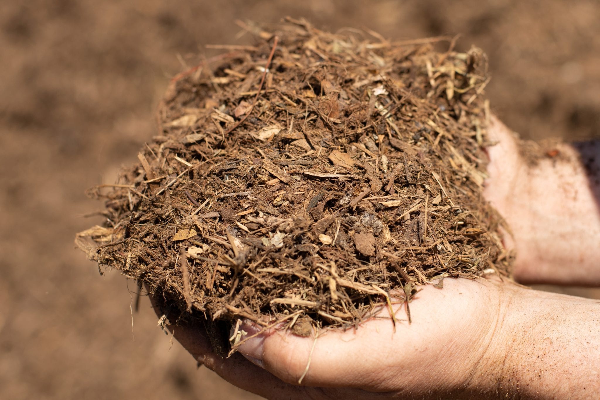 Forest Blend | SoCal Mulch