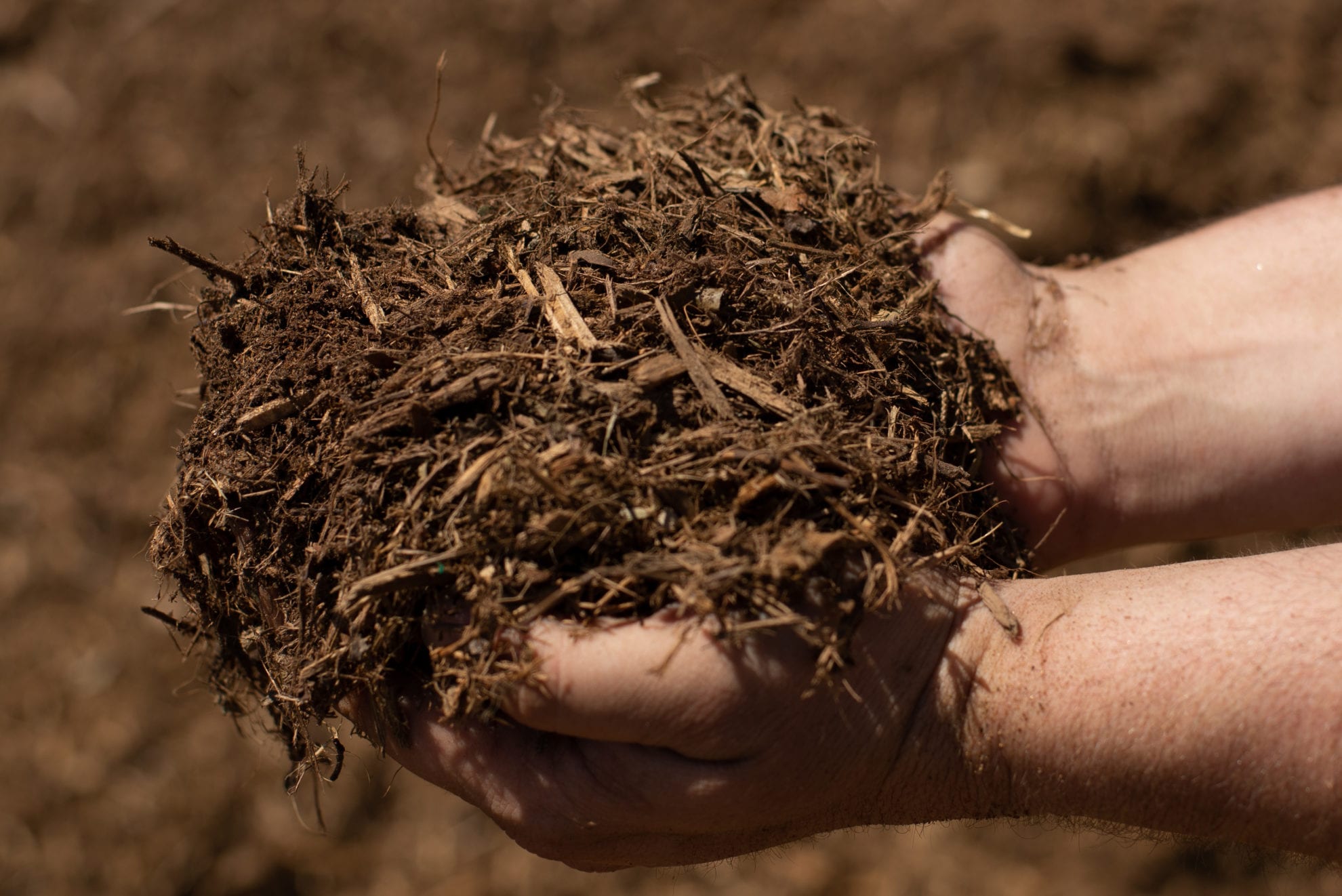 Premium Forest Blend | SoCal Mulch