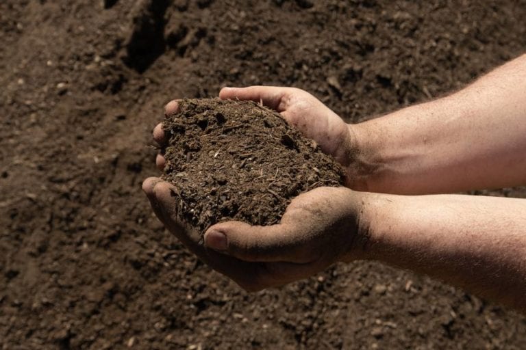 Planter Mix | SoCal Mulch