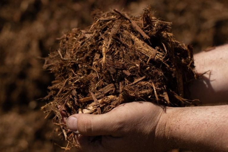 Shredded Cedar | SoCal Mulch